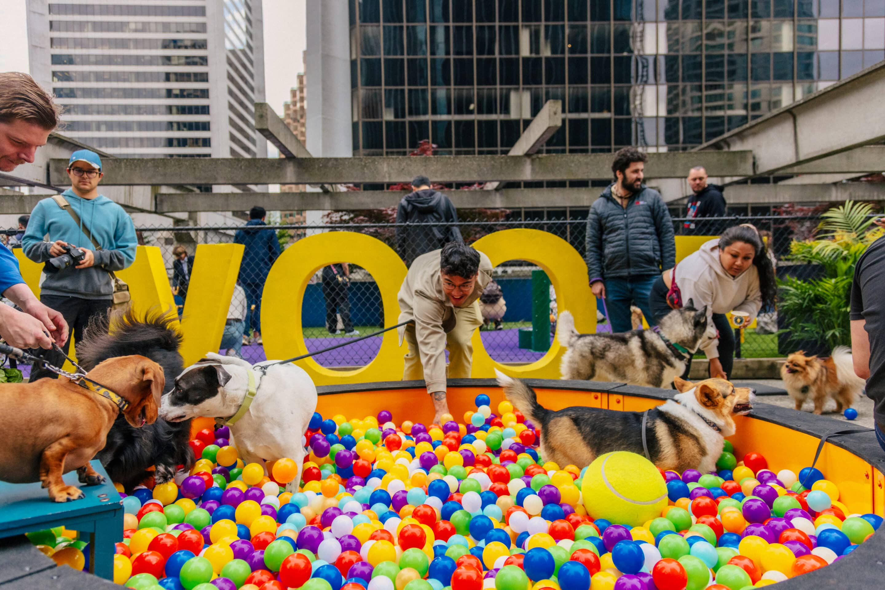Bark Park - Bentall Centre